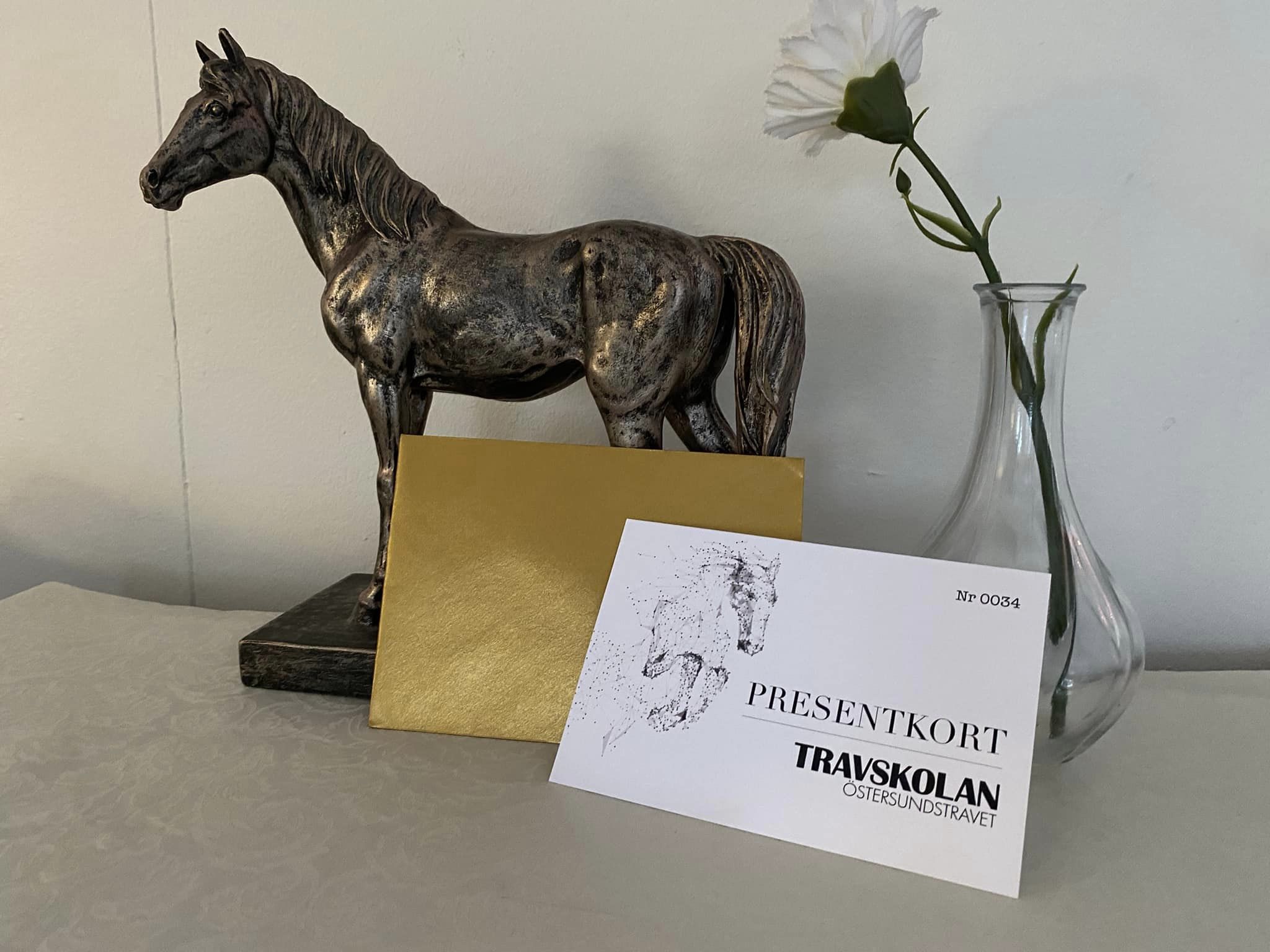 Vinnare i mustachkampen