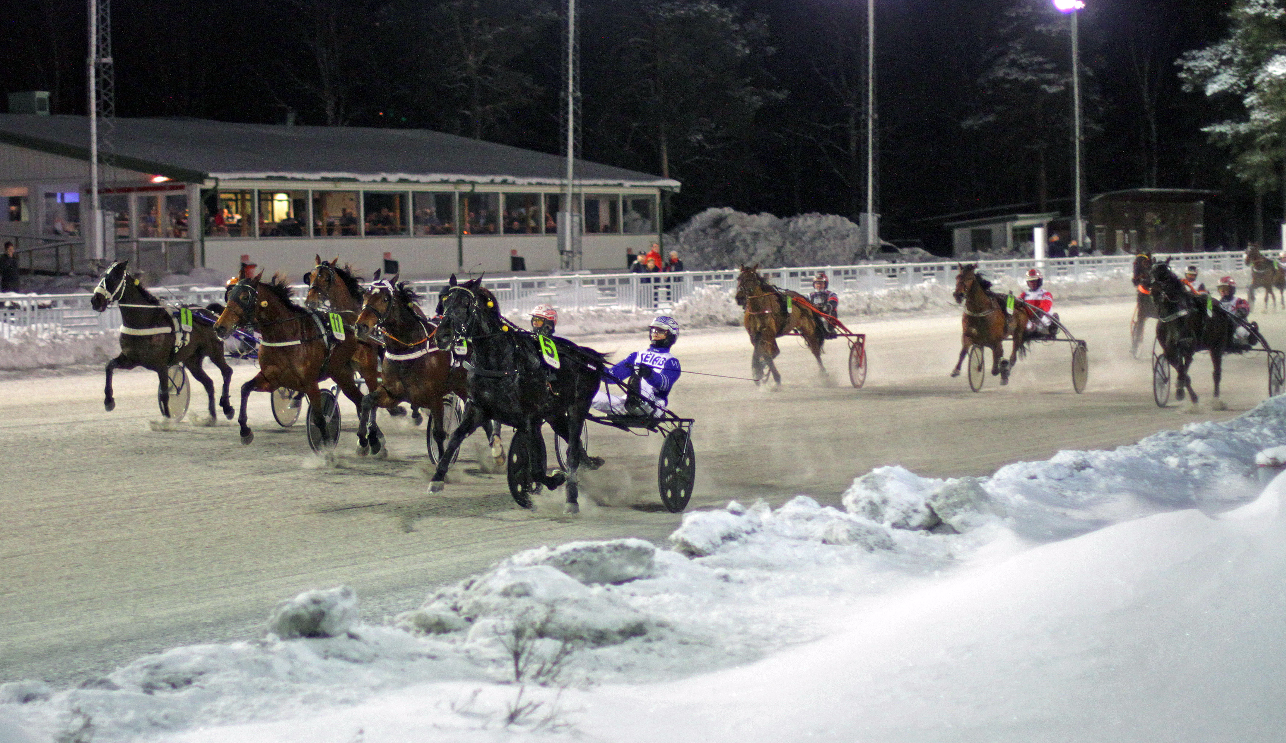 Välkommen på V75/STL-tävlingar lördag 29 januari
